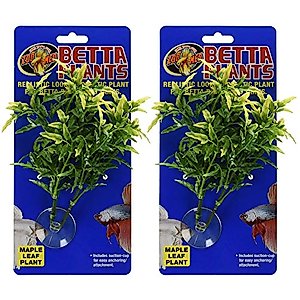 Zoo Med Laboratories Betta Plant Maple Leaf (2 Plants)