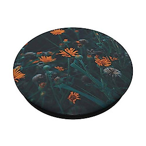 Nature Vintage Orange Flowers PopSockets Swappable PopGrip