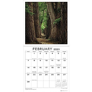Soul of the Forest 2021 Calendar