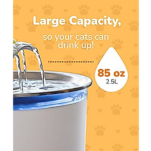 Loomla Cat Water Fountain, 85oz/2.5L Pet Water Fountain Indoor, Automatic Dog Water Dispenser with Switchable LED Lights, 2 Replacement Filters for Cats, Dogs, Pets（Stainless Steel）
