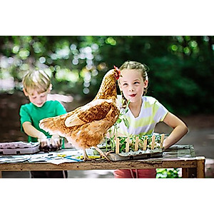 Backyard Safari Company Grown Herb Garden (GG-H)