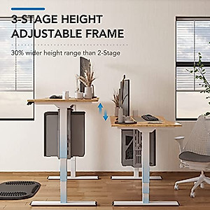 FLEXISPOT Pro 3 Stages Dual Motor Electric Standing Desk 48x30 Inches Whole-Piece Desk Board Height Adjustable Desk Electric Stand Up Desk Sit Stand Desk(White Frame + Natural Desktop)