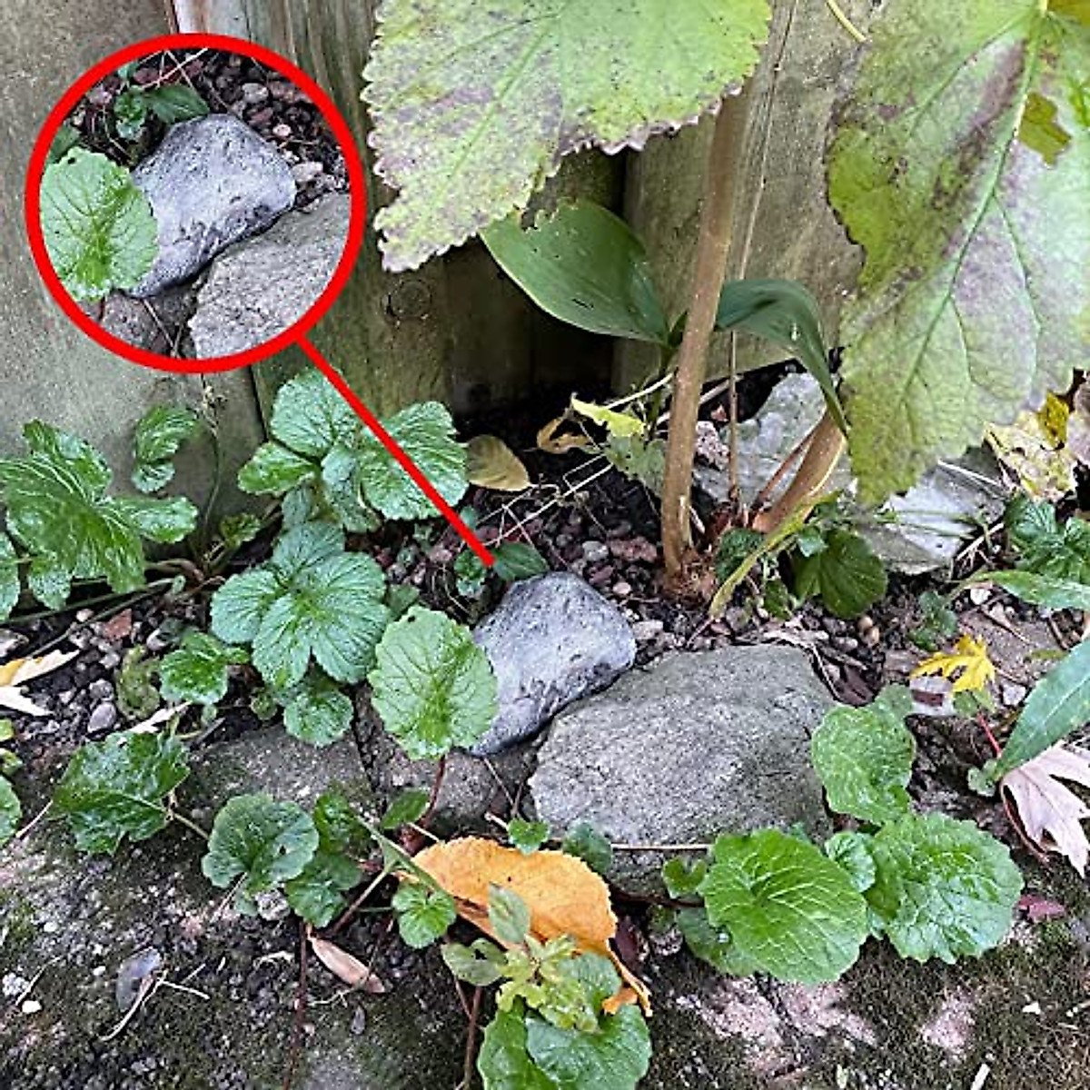 PANGAEA Key Hider Fake Rock, Weatherproof and Safe for Spare Keys, Real Look and Feel Stone, Garden, Outdoor, Geocaching (Type-B Black, 1 Pack)