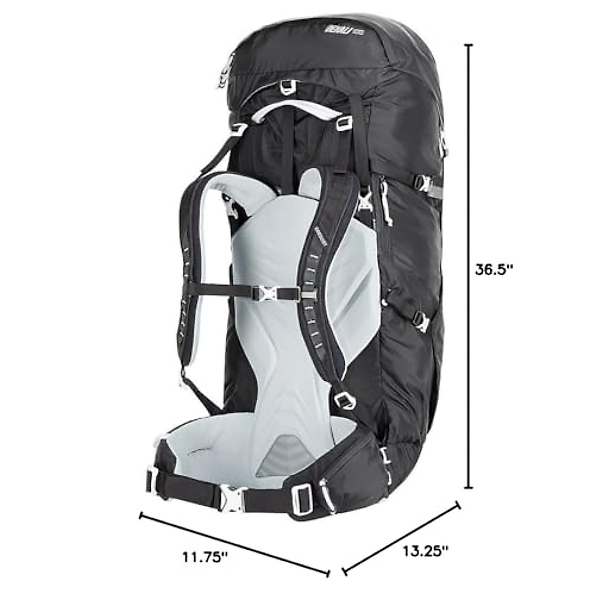 Gregory Mountain Products Denali 100 Liter Alpine Backpack , Basalt Black, Medium