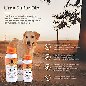 Classic's Lime Sulfur Dip - Pet Care for Itchy and Dry Skin - Xtra Strength Formula - Safe Solution for Dog, Cat, Puppy, Kitten, Horse (16 fl oz x 3 Bottles)