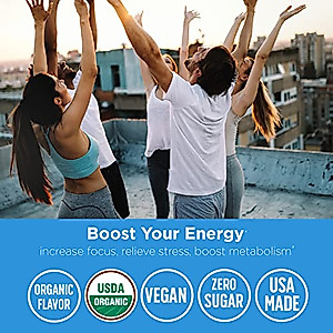 Vitamin B12 Spray | USDA Organic Vitamin B12 Liquid Spray | B12 Vitamin Supplement Liquid for Nerve Function | Liquid Vitamin B12 for Energy Support | Vegan | Gluten Free | Non-GMO | 1 Fl Oz