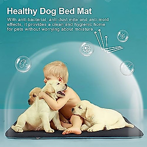 Magic Dog Dog Bed for Crate - Soft Dog Crate Pad Dog Bed Mat for Medium Dogs, 36-Inch Washable Kennel Pad Pet Beds with Non-Slip Bottom, Dark Grey M