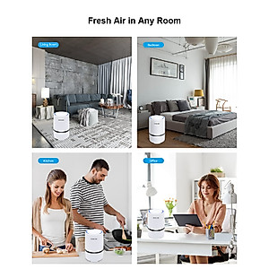 RIGOGLIOSO Air Purifier for Home with True HEPA Filters,Low Noise Portable Air Purifiers with Night Light,Desktop USB Air Cleaner