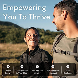 Optimal Carnivore Beef Organ Supplement, Grass Fed Beef Organs for Men & Women, 9 Organ Complex, Organ Meat - Beef Liver, Brain, Thymus, Lung, Gallbladder