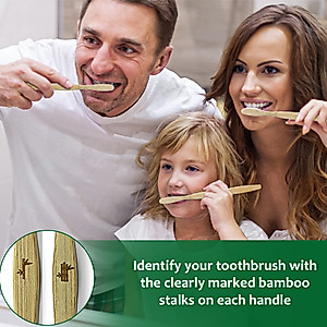 Palm Naki Bamboo Toothbrushes (10 Pack) - Eco Friendly, Biodegradable Toothbrushes, Soft Bristle Toothbrush, BPA Free