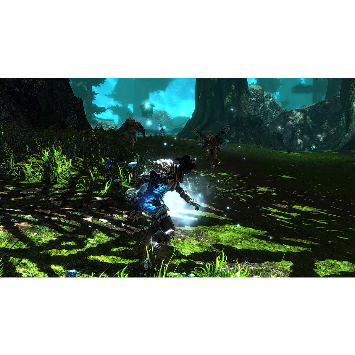 Kingdoms of Amalur Re-Reckoning - PC