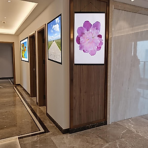 Aynoo 16x20 Poster Frame Black, Display Picturess 16x20 Metal Picture Frame,Aluminium Industries Studio Gallery Frame