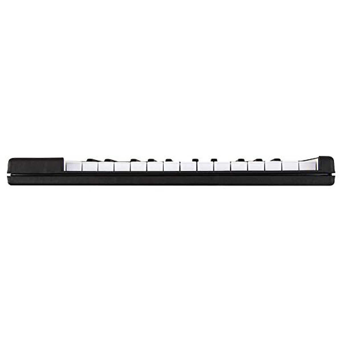 Arturia MicroLab 25 Key USB MIDI Keyboard Controller