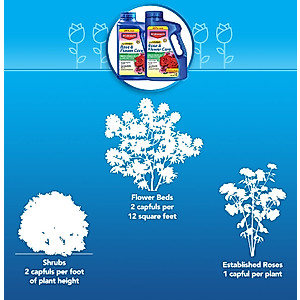BioAdvanced 2-In-1 Systemic Rose and Flower Care II, Granules, 5 lb