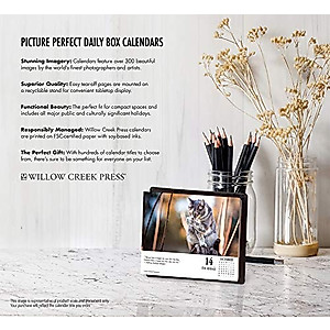 Bad Dad Jokes 2021 Box Calendar