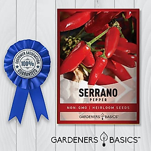 Serrano Pepper Seeds for Planting Heirloom Non-GMO Ancho Peppers Plant Seeds for Home Garden Vegetables Makes a Great Gift for Gardening by Gardeners Basics