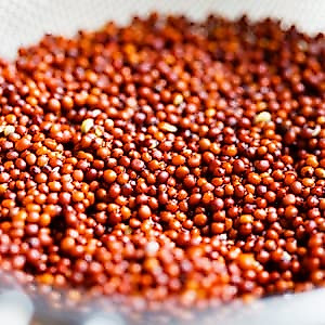 Broccoli Sprouting Seeds | Grown in USA | Non GMO | from Our Farm to Your Table (1 Pound)