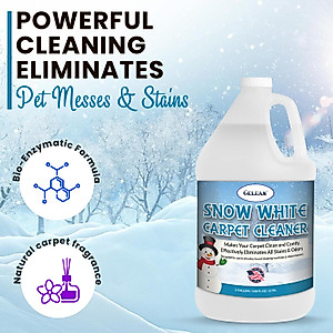 SNOW WHITE Carpet Cleaner Rug Extracting Shampoo, MADE IN USA, Carpet Cleaner Solution and Machine Use, Removes Even The Toughest Stains and odors, Rug Car Upholstery and Carpets, 1 Gallon