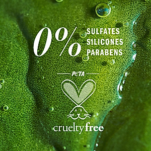 Herbal Essences Bio: Renew Aloe + Eucalyptus Sulfate Free Shampoo Scalp Balance, 13.5 Fl Oz, 5.491 Fl Oz