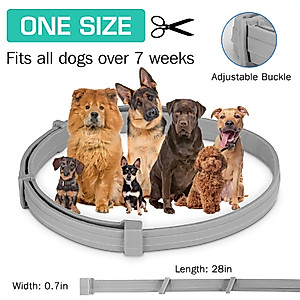 UrbanX Natural Flea Flea & Tick Treatment & Prevention Collar for Medium & Large Dogs, Waterproof, Adjustable (2 Packs)