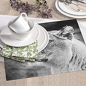 Lioness with Blue Green Eyes Printed Drying Mat For Kitchen Ultra Absorbent Microfiber Dishes Drainer Mats Non-Slip Silicone Quick Dry Pad - 18 X 16inch