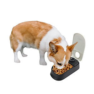 PAWISE Automatic Cat Feeders 1 Meal Automatic Dog Feeder,Dog/Cat Food Dispenser 1.5 Cup, Schedule Meal or Treat, with 48-Hour Timer