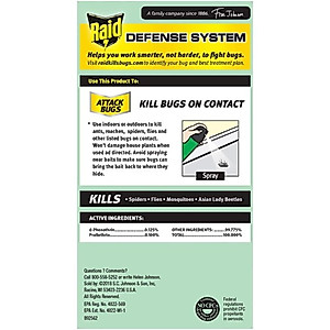 Raid House & Garden Insect Killer Spray, Orange Scent 11 Ounce (Pack of 10)