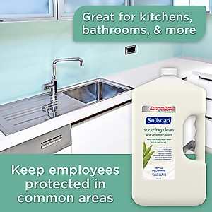 Softsoap Liquid Hand Soap Refill, Soothing Clean, Aloe Vera Fresh Scent - 1 gallon, Pack of 4