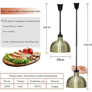 JIAWANSHUN Food Warmer Lamp Food Heat Lamp Warmer with Bulb 250W Commercial Food Warmer Restaurant or Home Food Service 110V