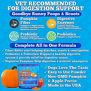 Well Loved Pumpkin for Dogs - Pumpkin Puree, Canned Pumpkin (Alternative), Fiber for Dogs, Probiotic Powder, Pumpkin Powder, Dog Diarrhea, Digestive Support, Perfect for Firm Poops and No Scoots, 6 oz