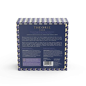THEORIE Purple Sage Travel Set - Brightening Shampoo & Conditioner minis - Color Repair Formula - Eliminate Brassiness & Yellowing - Suited for Blonde & Highlighted Hair, Bottles 90mL each