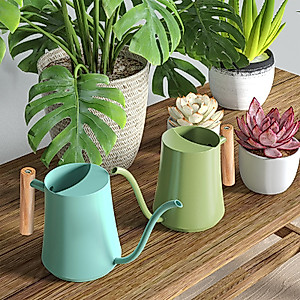 Watering Can Indoor Plants 35oz Sage Green Water Can Indoor Metal Small Water Can Pot with Long Spout for House Bonsai Plants Garden Flower Decorative