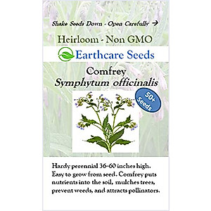 Earthcare Seeds True Comfrey 50 Seeds (Symphytum officinale) Non GMO, Heirloom
