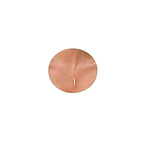 Aghfacy Dainty Bar Necklace for Women | Cute Bar Pendant Choker | Bar Necklace Gold | Tiny Bar Pendant Necklaces | Layered Bar Necklace