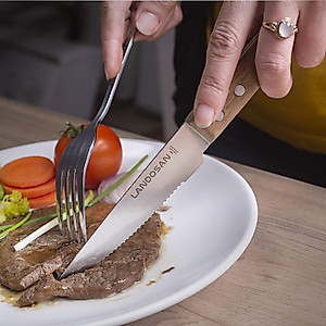 LANDOSAN Steak Knives Set of 4 Stainless Steel serrated steak knives Natural wood handle Knife Set