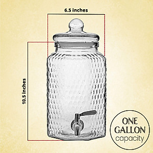 1 Gallon Glass Beverage Dispenser with Stainless Steel Spigot - Decorative Mason Jar Drink Dispenser for Parties, Fridge, Sun Tea, Iced Tea, Kombucha and Water
