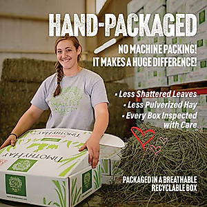 Small Pet Select Orchard Grass Hay Pet Food for Rabbits, Guinea Pigs, Chinchillas and Other Small Animals, Premium Natural Hay Grown in The US, 10 LB