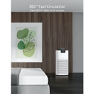 TOPPIN Filter Replacement H13 True HEPA Air Filter for TOPPIN TPAP005 AP005 TP-AP005 Air Purifier to Clean Pets Hair Smoke Odors Dust Pollen Home and Room 1500 to 2000 sq ft
