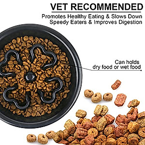 PETIZER Dog Bowls Medium Sized Dog, Slow Feeder Dog Bowls with No Skid Silicone Mat, Dog Food and Water Bowl, Stainless Steel Pet Bowls, 72Oz in Total