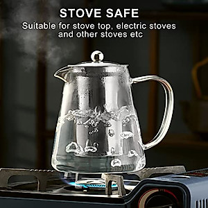 PARACITY Glass Teapot Stovetop 18.6 OZ, Borosilicate Clear Tea Kettle with Removable 18/8 Stainless Steel Infuser, Teapot Blooming and Loose Leaf Tea Maker Tea Brewer for Camping, Travel (550ML)