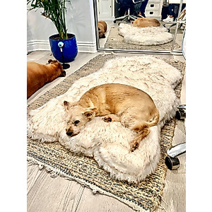 Agape Paws LUXURY FAUX FUR ORTHOPEDIC BED | Premium Joint Health Memory Foam Dog Bed with Waterproof | Washable Cover | Durable | Comfortable | Chew Proof Luxury Pet Bed for Large Dogs.