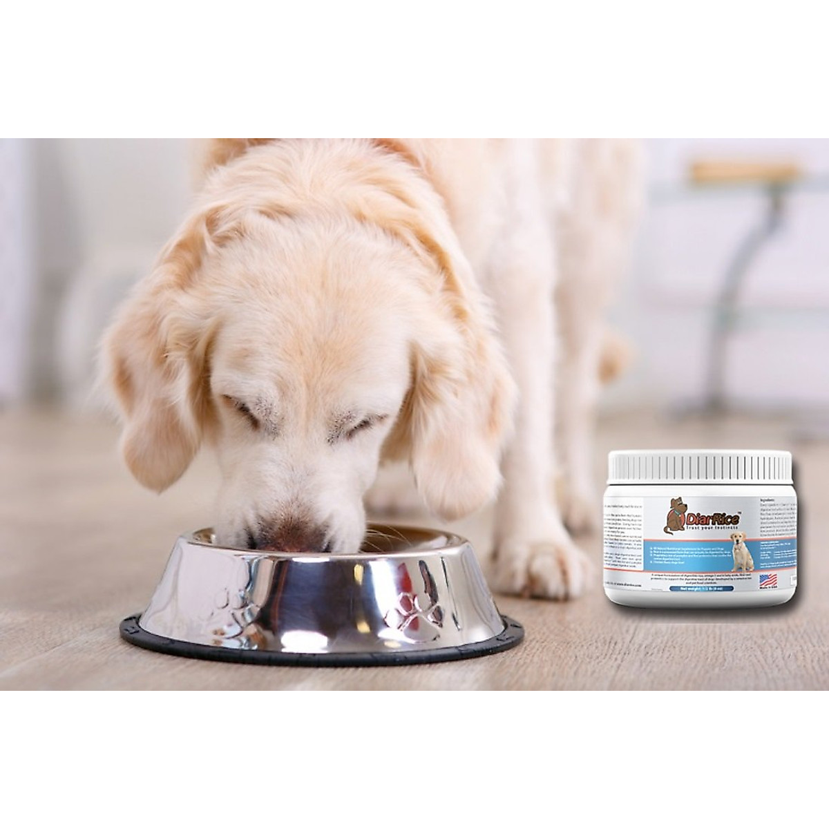 DiarRice Probiotic for Dog Diarrhea, Anti Diarrhea for Dogs, Diarrhea Medicine for Dogs' Bloating, Gas, and Stomach Discomfort. Puppy Probiotics for Diarrhea. Dogs Upset Stomach Relief Medication.