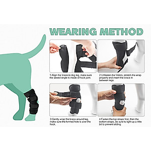 Lyderpet Dog Leg Brace for Hind Hock Joint, Rear Ankle Compression Wrap with Metal Strips Strong Support for Torn ACL & CCL, Prevents from Injury and Sprain, Helps with Wounds Care and Arthritis (S)