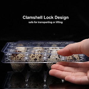 LayHyand 60 Pcs Quail Egg Cartons, Square Dozen Egg Boxes, Classical 3x4 Style Holds Up to Twelve 12 Count Small Quail Eggs Basket, Pigeon Eggs, Bulk Carton Quail Egg Tray Container for Refrigerator