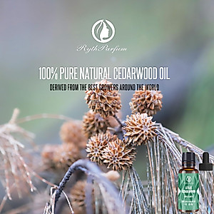 RythParfum Atlas Cedarwood Essential Oil with Dropper|100% Pure,Undiluted Natural Mint Oil for Diffuser,Humidifier,Aromatherapy (Pack of 3 oz)