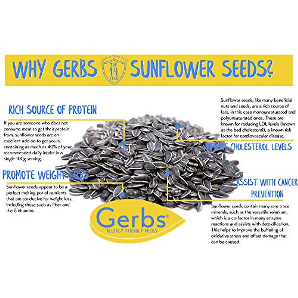 GERBS Jumbo Raw Whole Sunflower Seeds, 32 ounce Bag, Unsalted, Top 14 Food Allergen Free, Non GMO, Vegan, Keto, Paleo Friendly