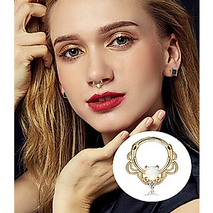 JOERICA 9 Pcs Stainless Steel Septum Hoop Nose Rings Cartilage Daith Earrings Clicker CZ Body Piercing Jewelry