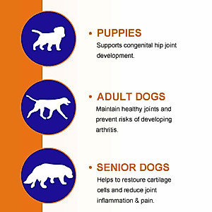 ZIXAOK Glucosamine for Dogs - Hip & Joint Supplement (150 Tablets, 13.2 oz) - Chews with Chondroitin, MSM & Hemp Oil for Arthritis Relief & Enhanced Mobility for All Breeds