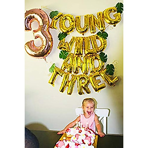 LaVenty 13PCS Young Wild and Three Balloon Young Wild and Three Banner Young Wild and Three Decorations for Boy Girl Third Birthday Decorations 3 Year Old Birthday Decor 3rd Birthday Balloon
