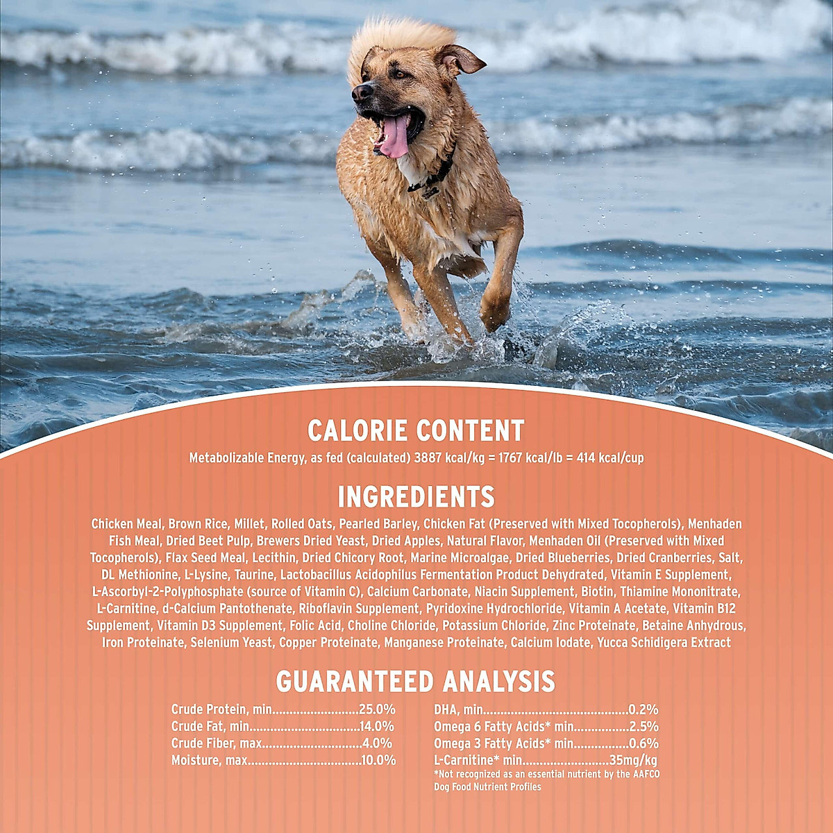 Annamaet Original Encore Formula Dry Dog Food, 25% Protein (Chicken & Brown Rice), 25-lb Bag